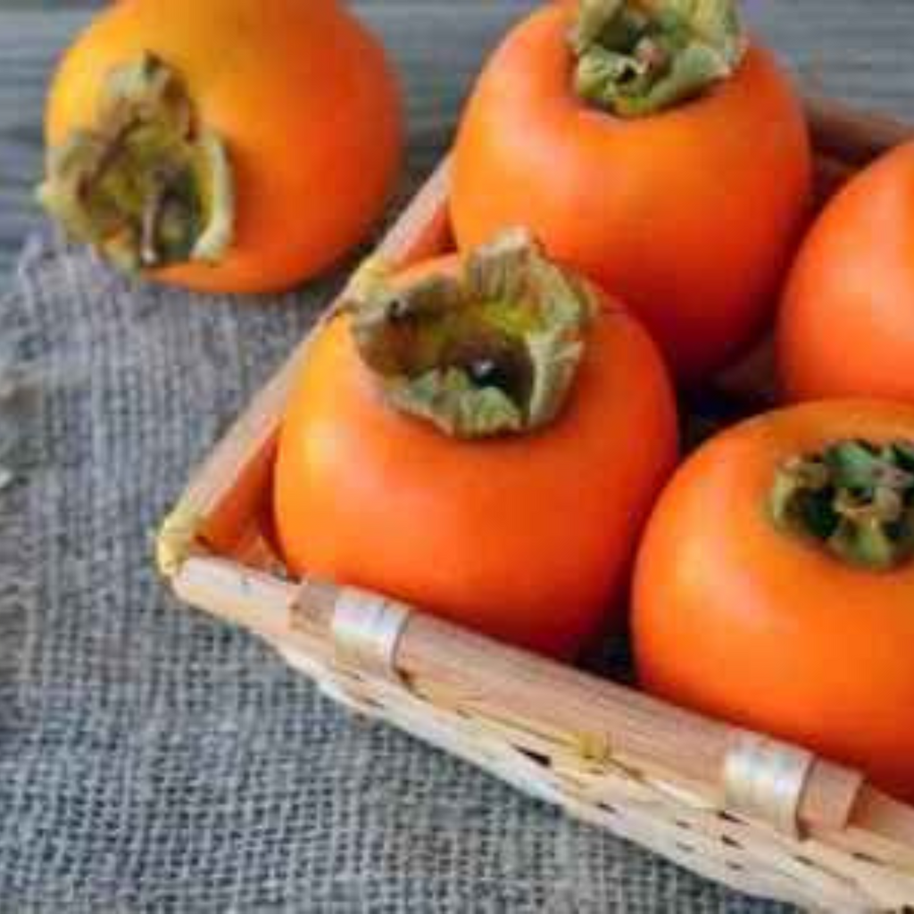 Japanese Persimmon Fruit Tree Bonsai | Non-GMOs Plant Home Garden ...