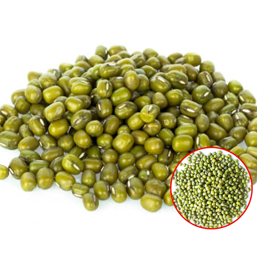 100 Mung Bean Seeds Heirloom Seeds | Vegetable Potted Plants | blood ...