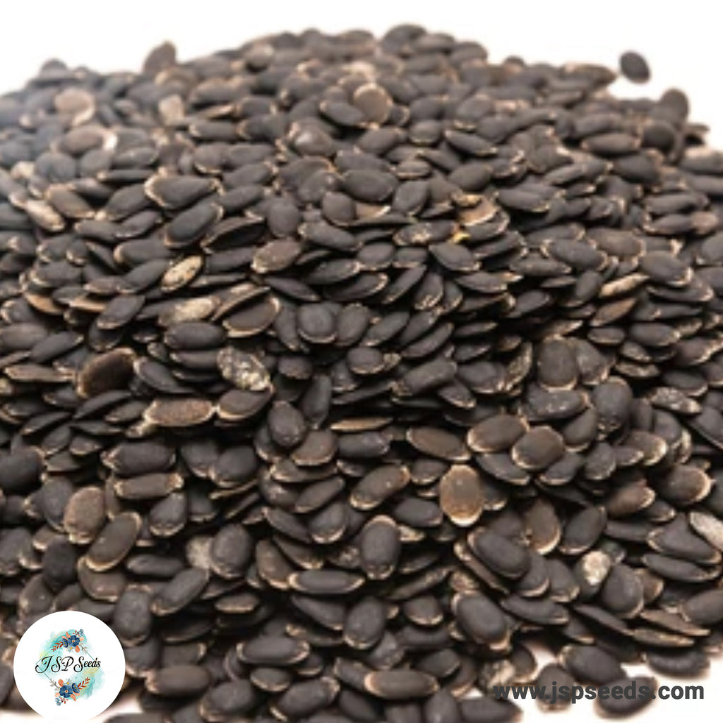 50 Luffa Aegyptiaca Cylindrica Seeds (Asia Vegetable) – JSPSeeds