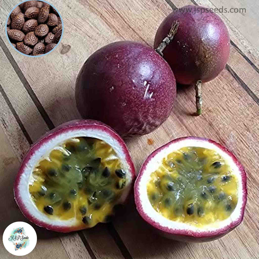 50 Purple Passion Fruit (Passiflora edulis) Vine passion flower Seeds ...
