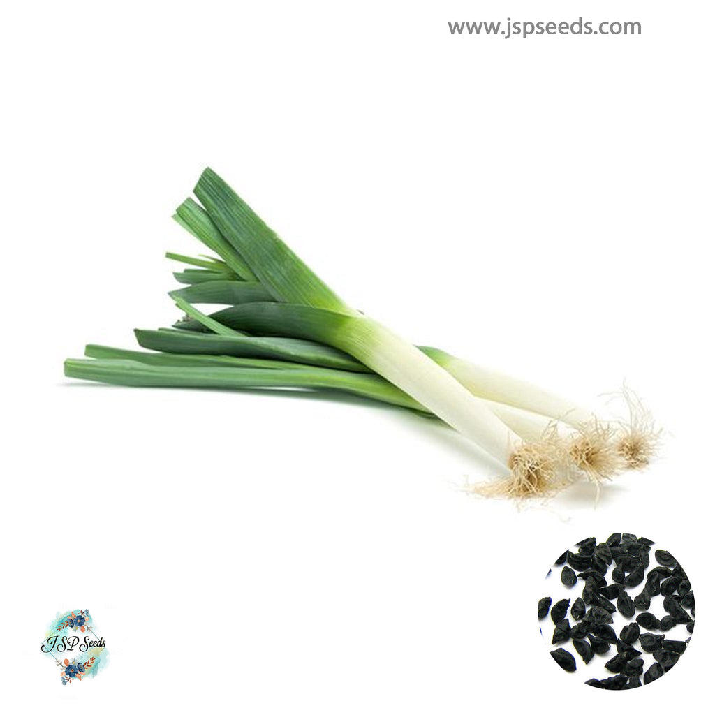 300 Leek Heirloom Seeds (Vegetable Potted Plants) – JSPSeeds