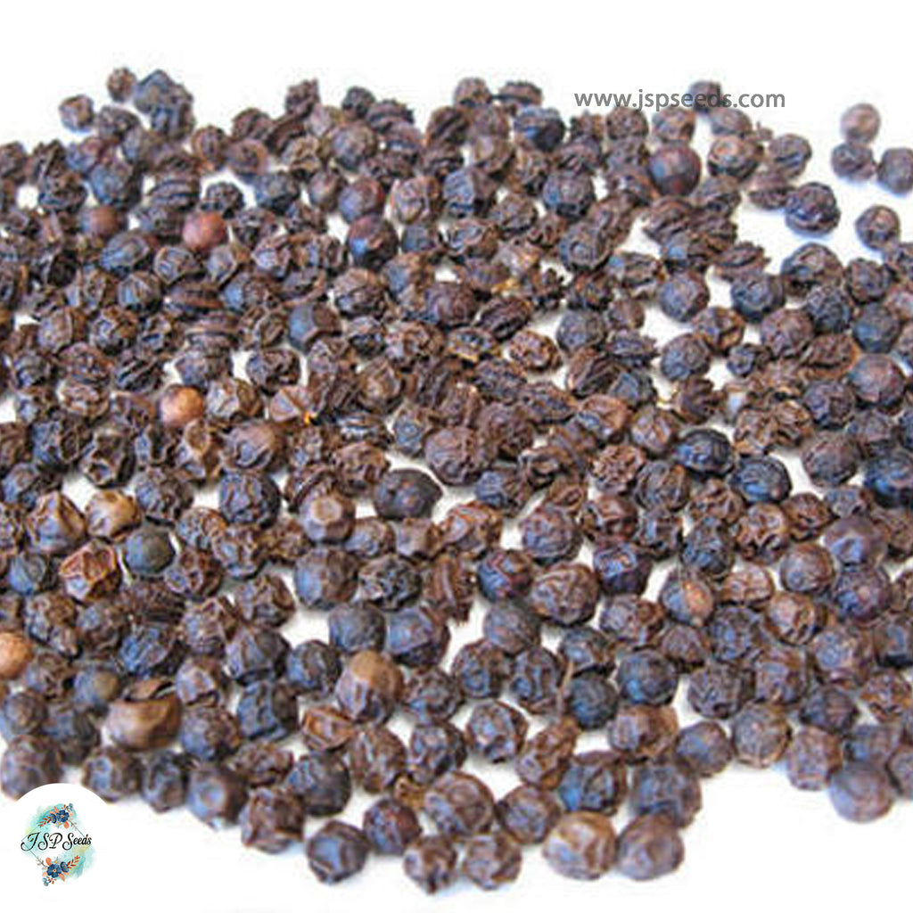 50 Holland Papaya Seeds (Asia Fruit) – JSPSeeds