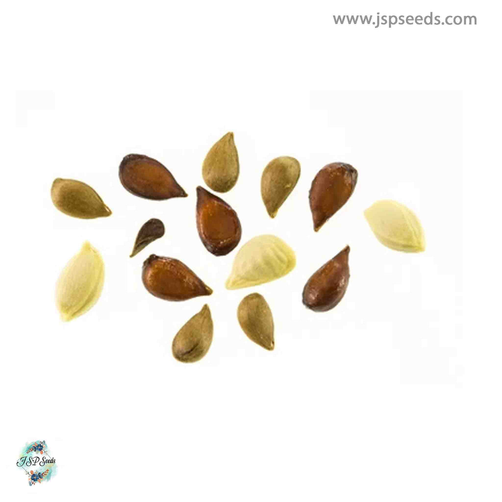 20 Pear Tree Sweet Organic Fruit Planting Potted Home Garden Seeds ...