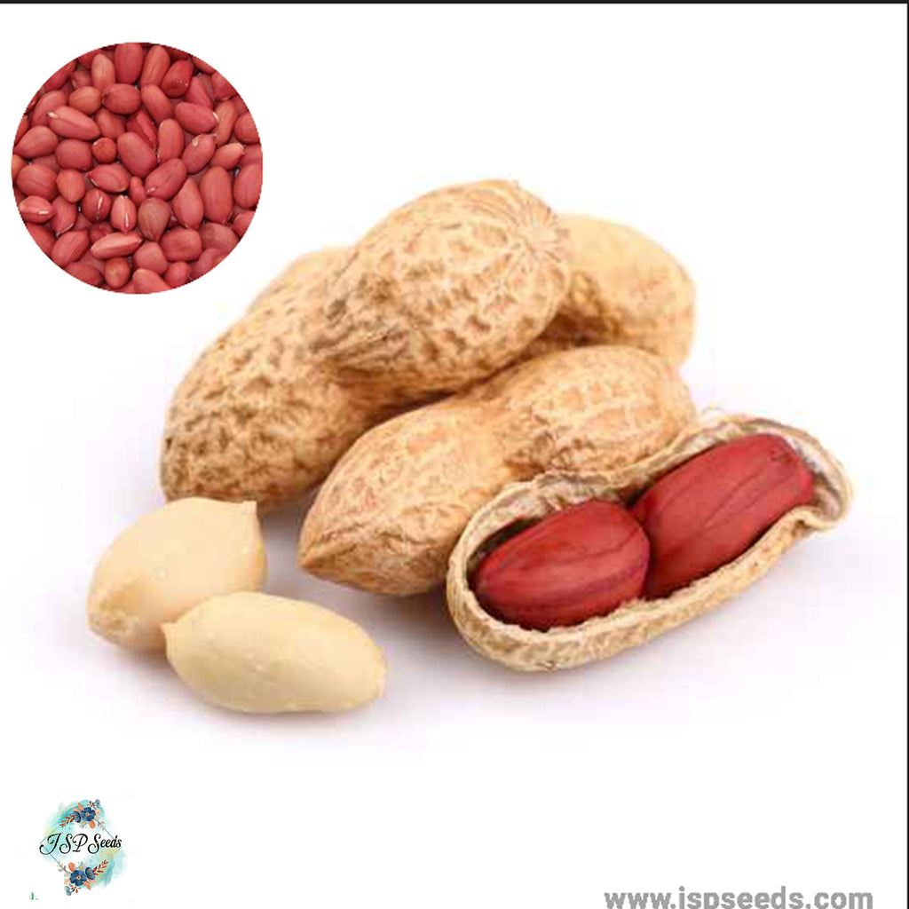20 Peanuts Arachis Valencia Arachis hypogaea | hile peanuts may have a ...