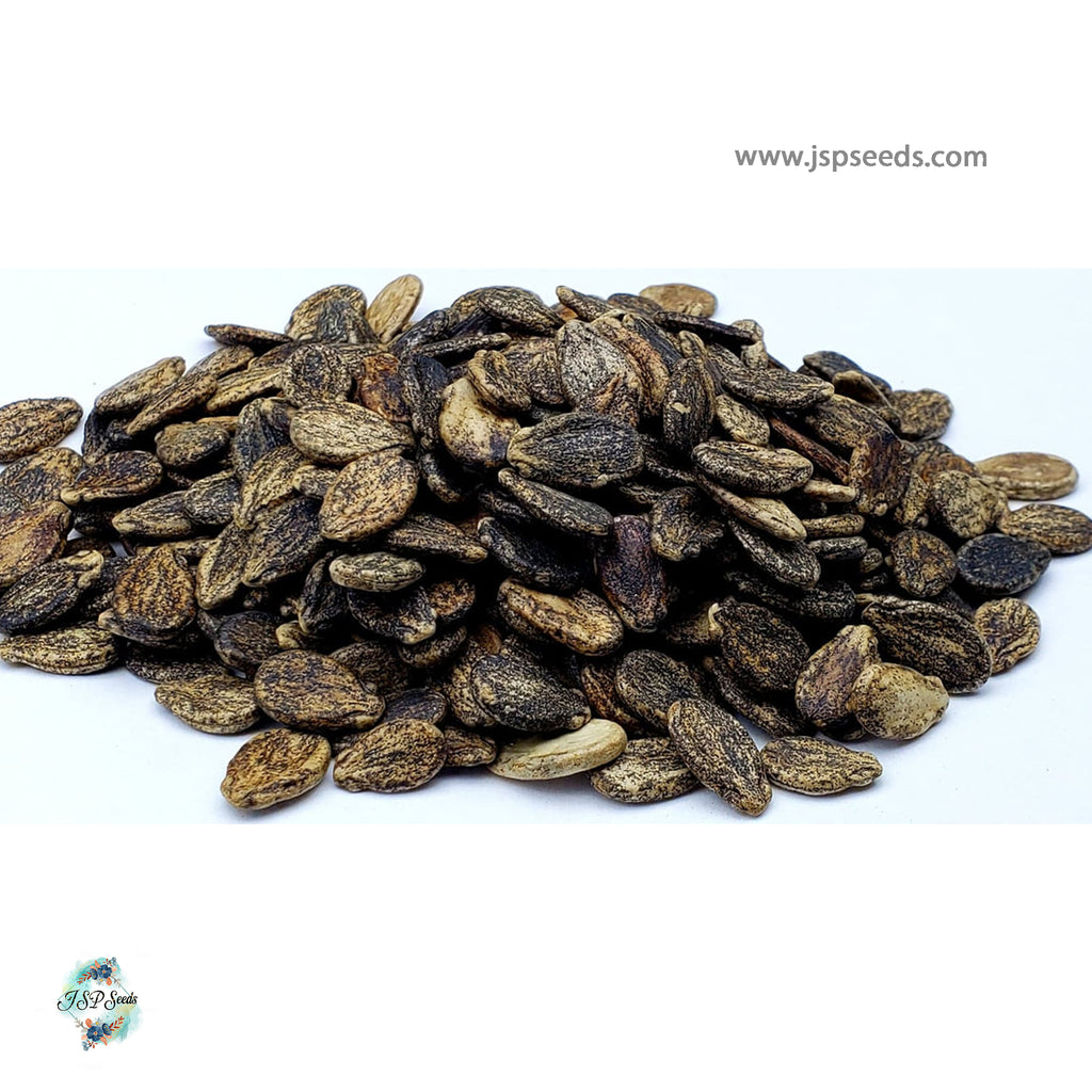 50 Black Diamond Watermelon Seeds – JSPSeeds