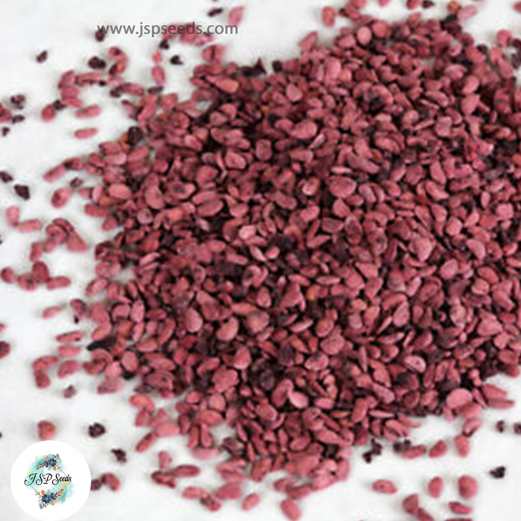 55 Mixed Blackberry Seeds (Fruit) | Great source of vitamin K – JSPSeeds