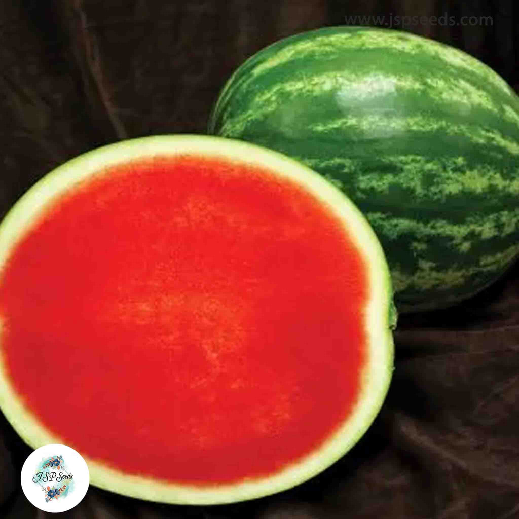 50 Red Seedless Watermelon Seeds (Asia Fruit) – JSPSeeds