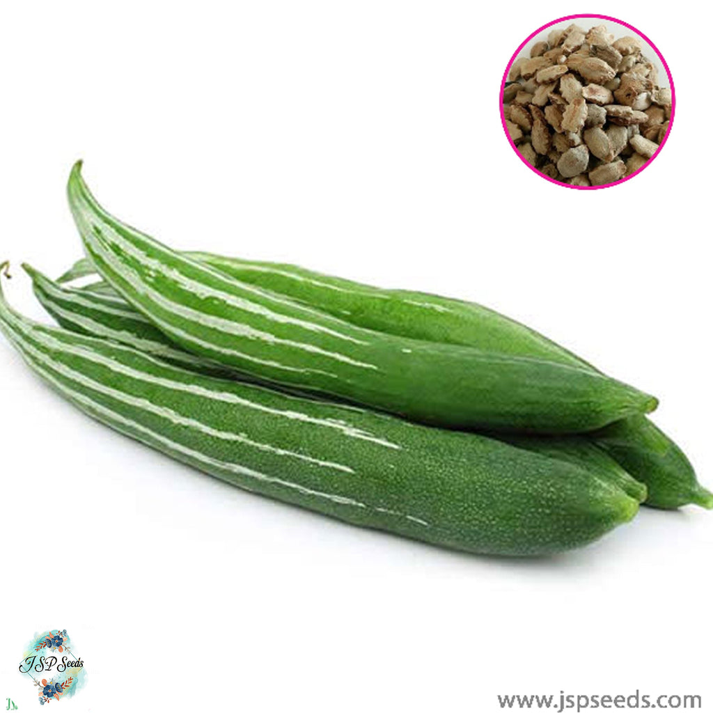 30 Snake Gourd Heirloom Seeds (Vegetable Potted Plants) – JSPSeeds