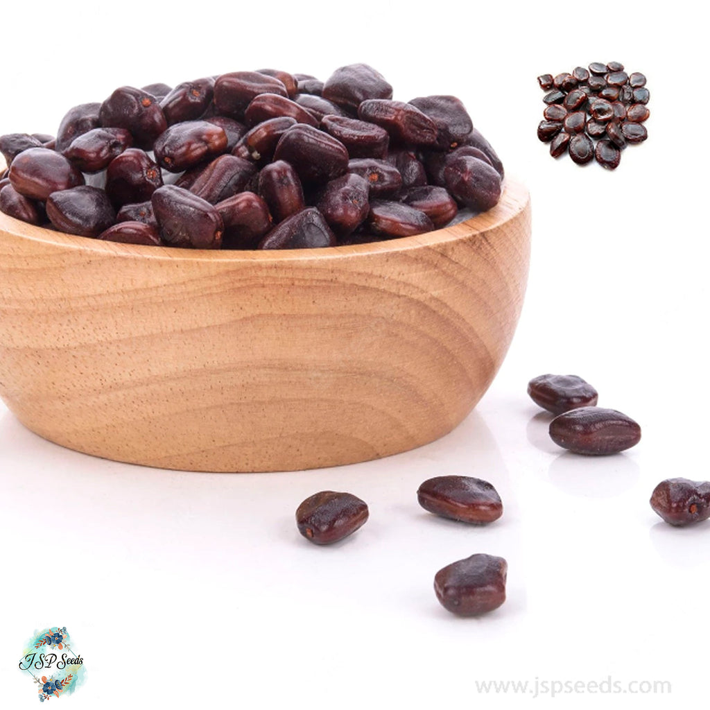 20 Thai Tamarind Fruit Seeds, TAMARINDUS INDICA, Sweet Indian date, ma ...