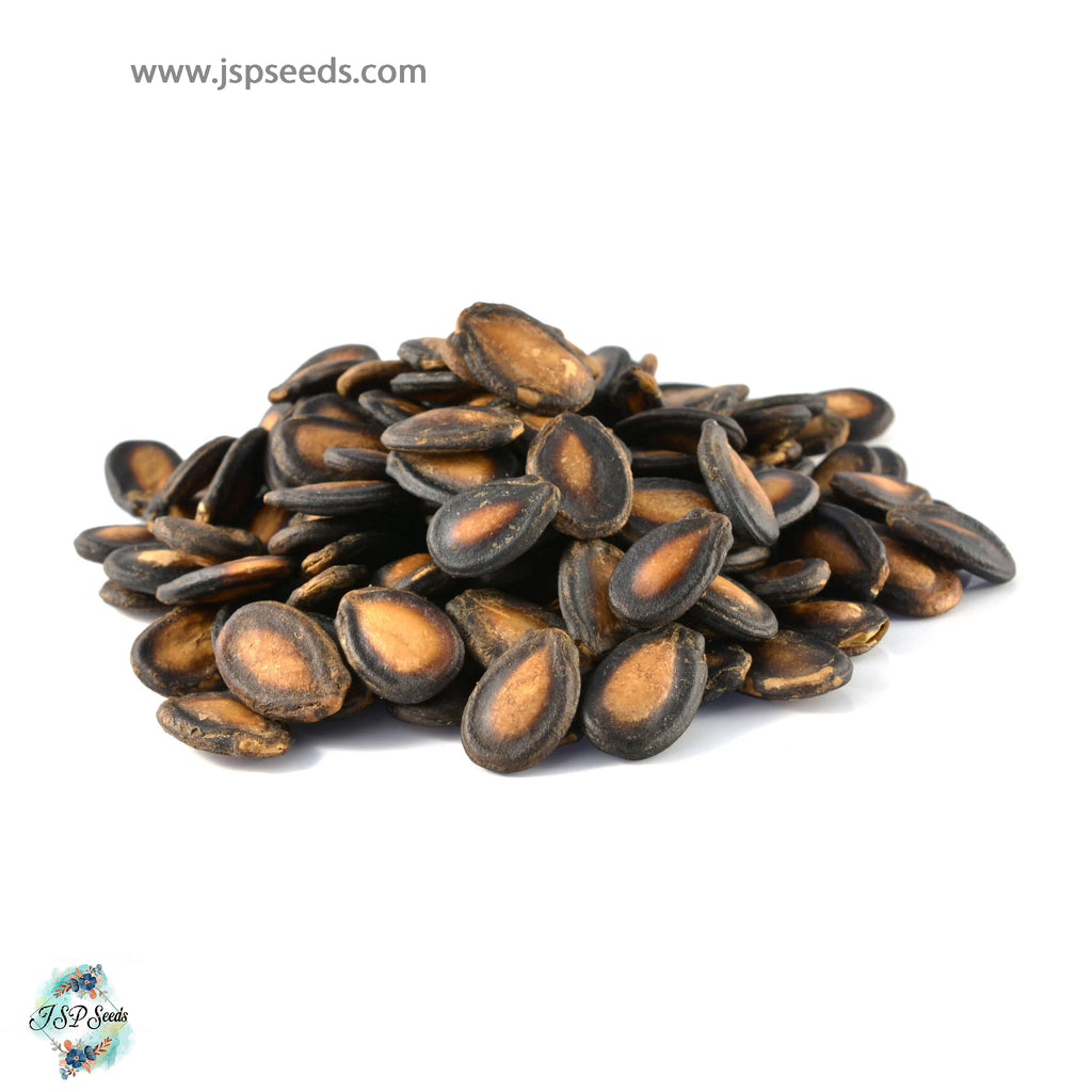 50 Watermelon Fruit Plant Bonsai Family Garden Potted Planting Seeds ...